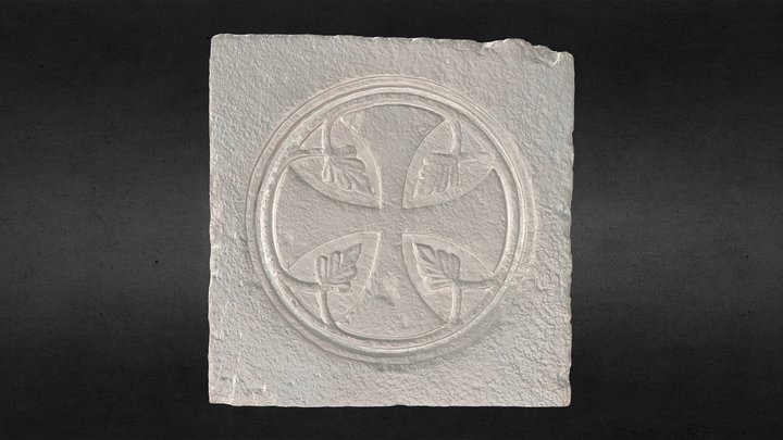 Plaster-cast 3D models - Sketchfab