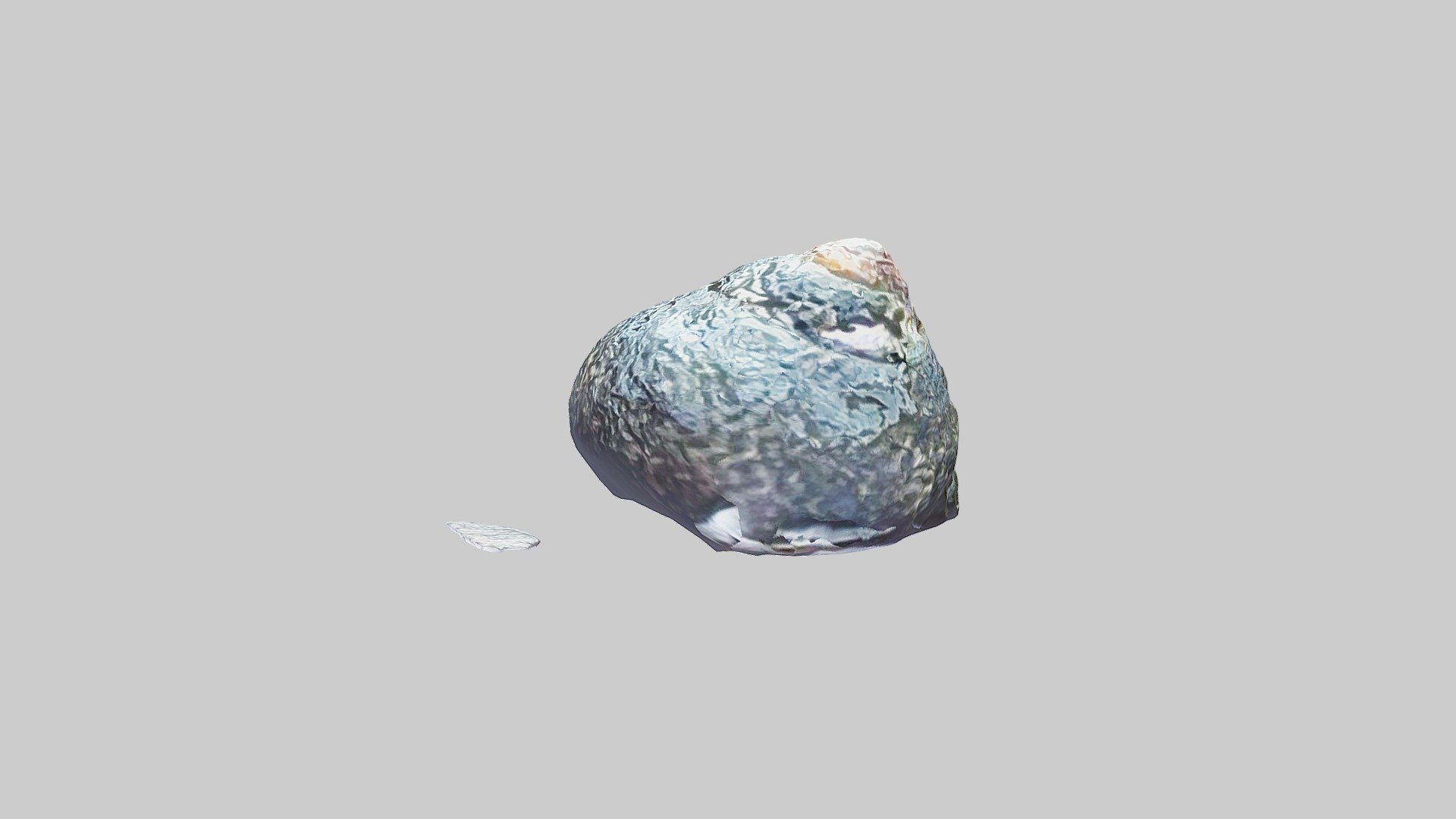 Toothed Topshell - Download Free 3D model by UoB_SAWhite [8894cb3 ...