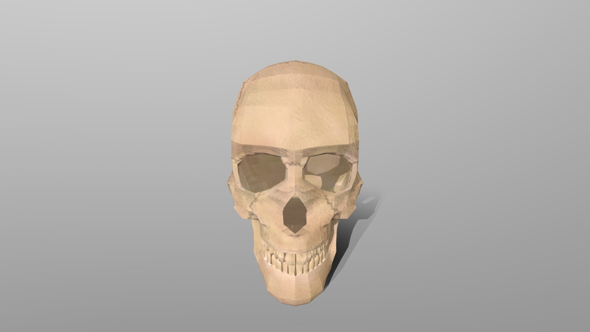Human Skull - 3D model by dillonjacobyrankin5739 [889e192] - Sketchfab
