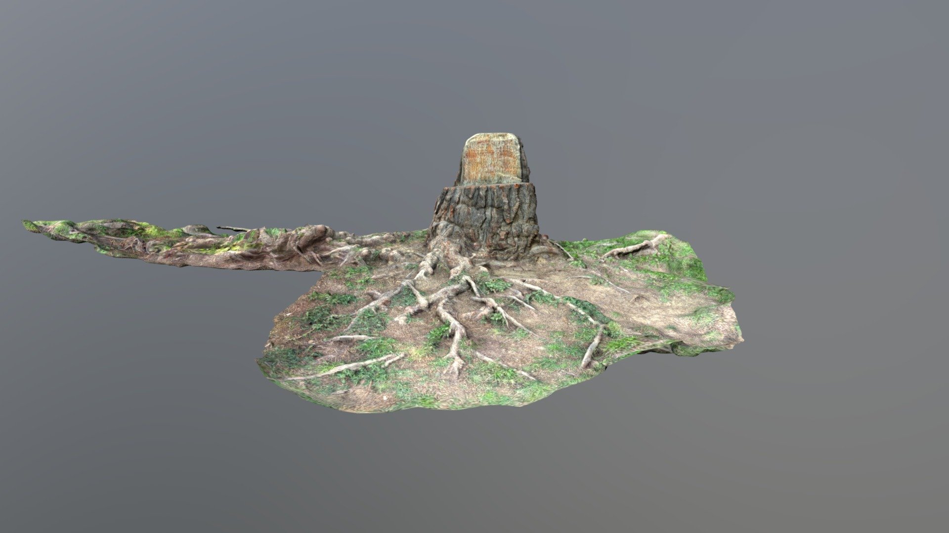 Roots - 3D model by alesya3d [88a2b8c] - Sketchfab