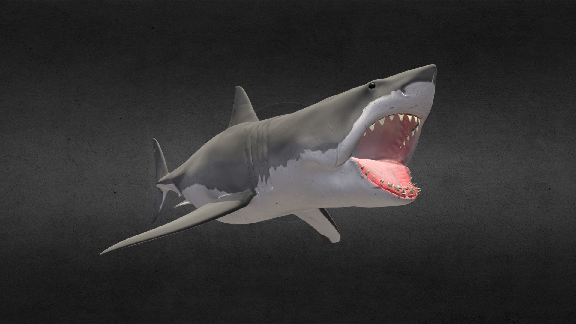 JAWS - Bruce - Download Free 3D model by UniverseXP [88a3c8d] - Sketchfab