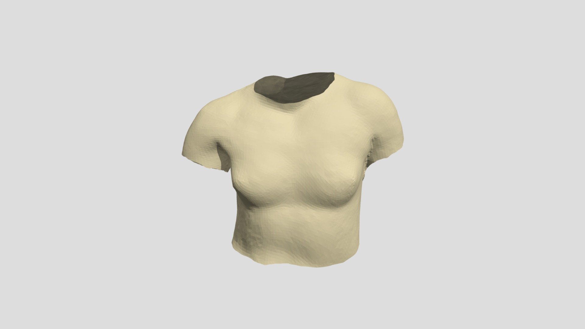 torso_wip - 3D model by rob.f.millington [88a9d29] - Sketchfab