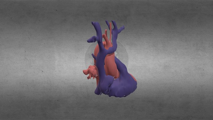CVEC - Sketchfab