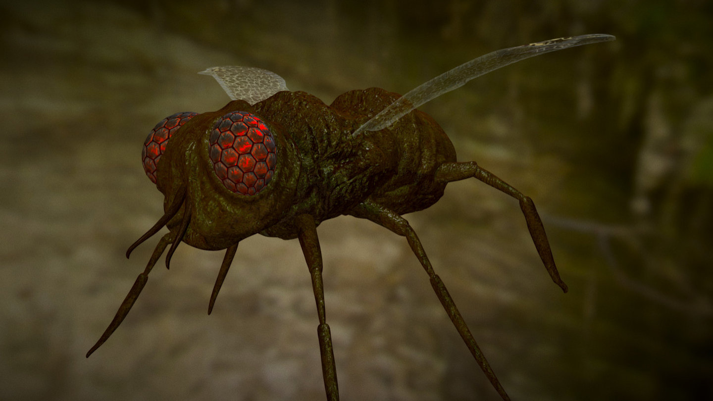 Fly - Download Free 3D model by Lukas Hahn 3D (@specter) [88b0040 ...