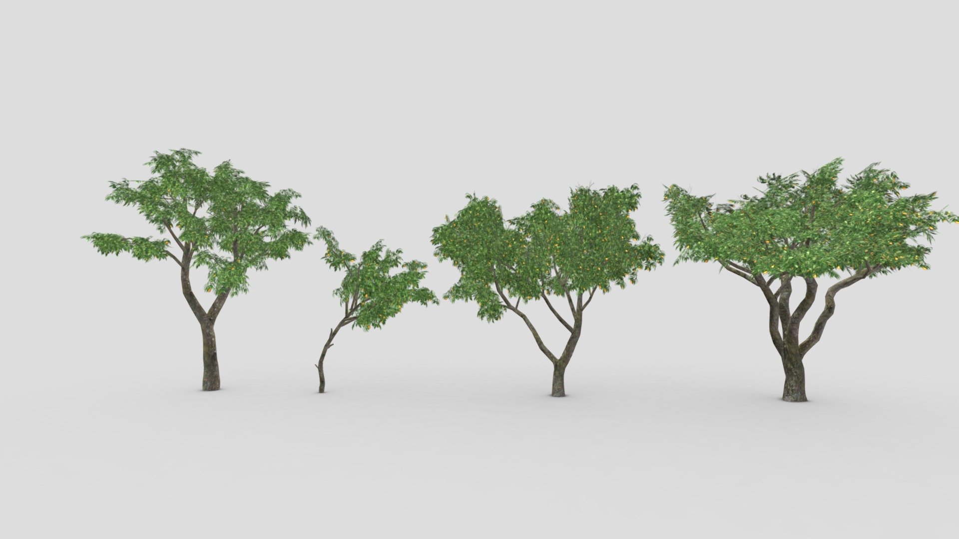 Orange Tree- Pack- 02 - Buy Royalty Free 3D model by ASMA3D [88b504c ...