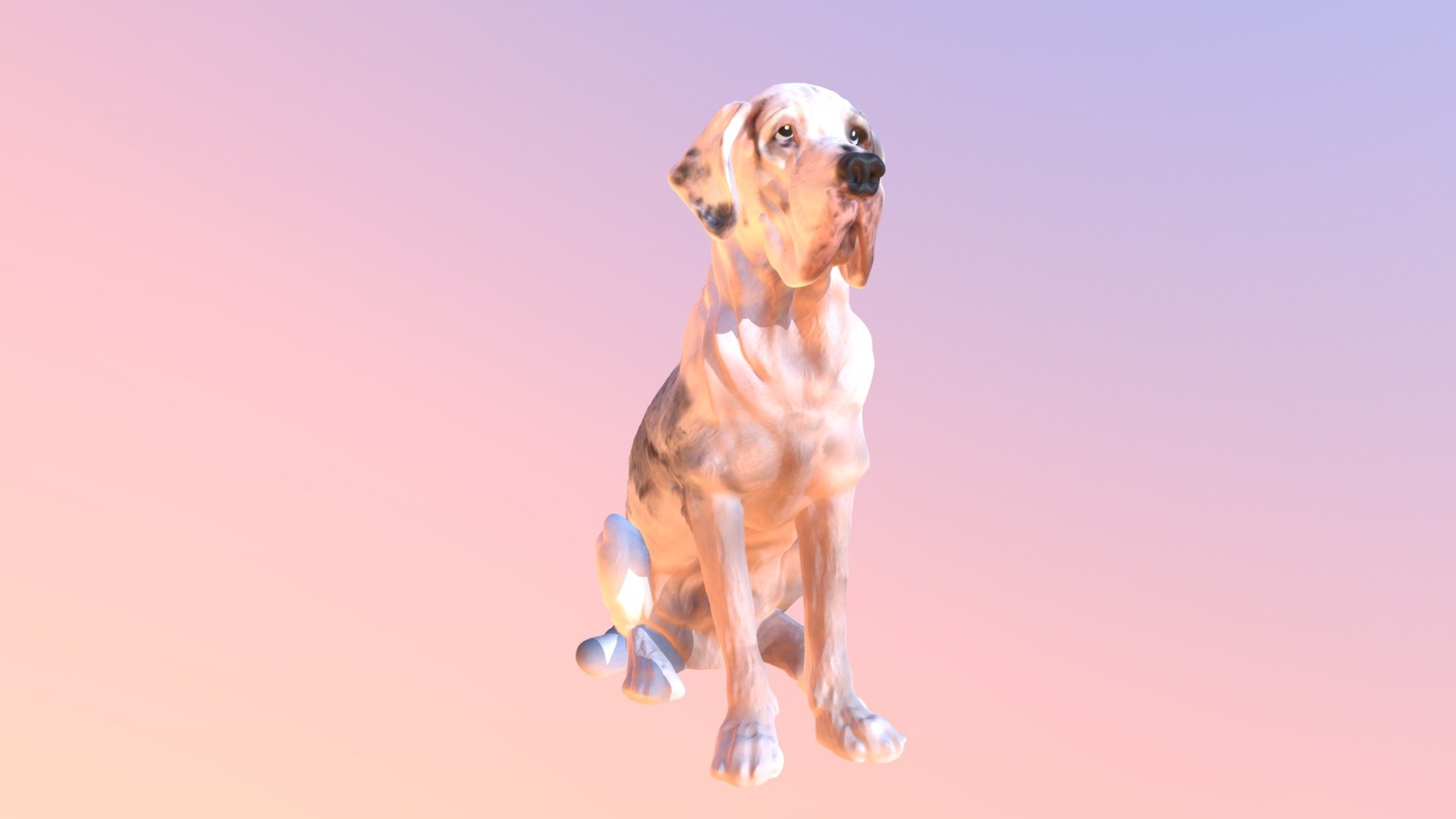 Neo Preview - 3D model by Arty Lobster - Pet Sculptures Made Simple ...