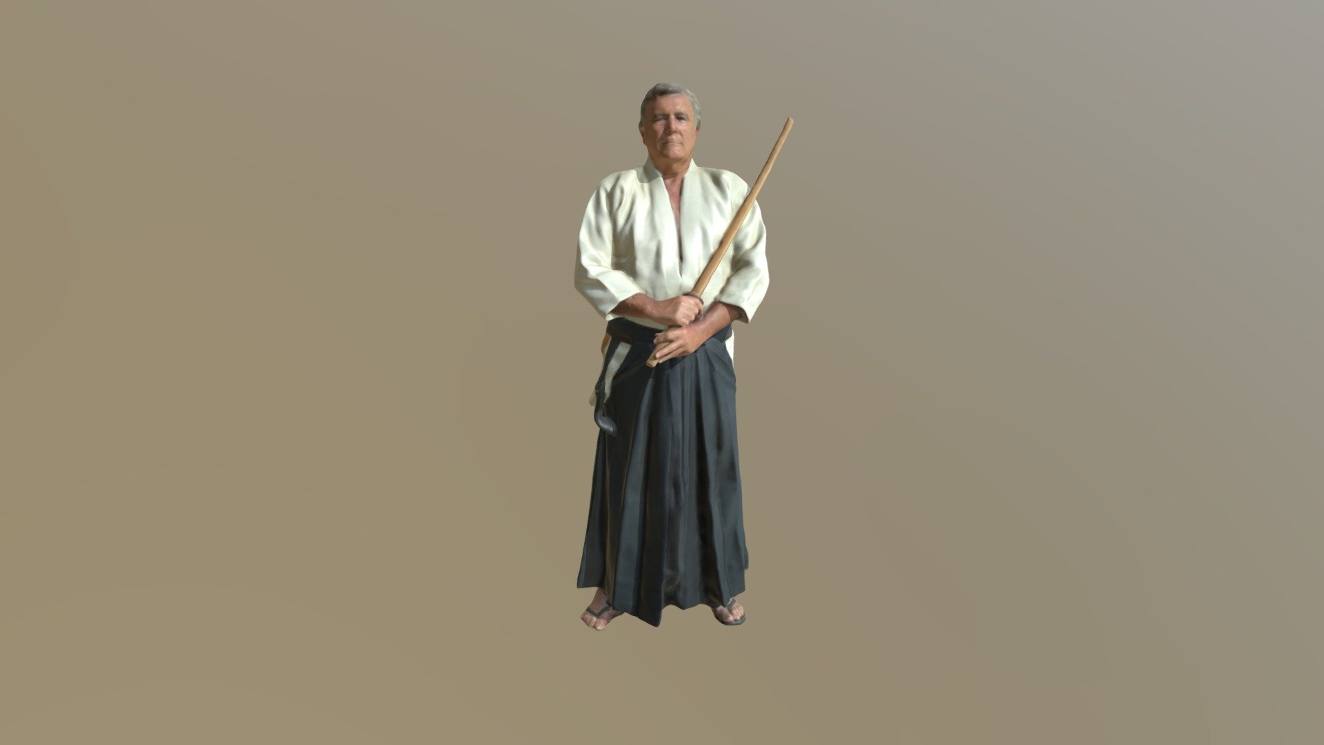 Aikido - 3D model by camaleon-digital [88c81d2] - Sketchfab