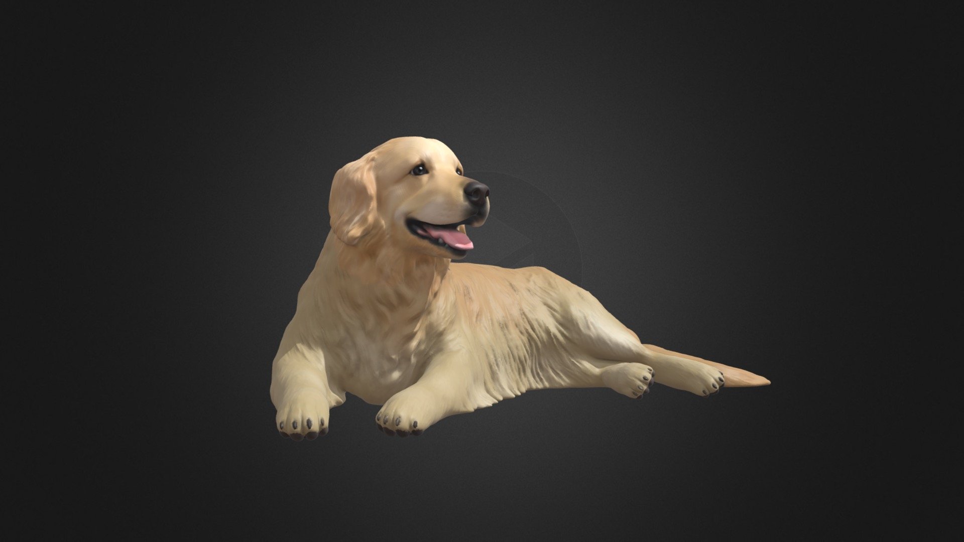 Golden Retriever named BaoBao figurine - 3D model by Seed by mi ...