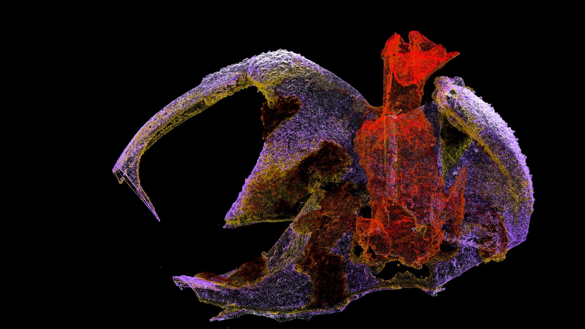pointcloud2 - 3D model by ginfa [88d54f4] - Sketchfab