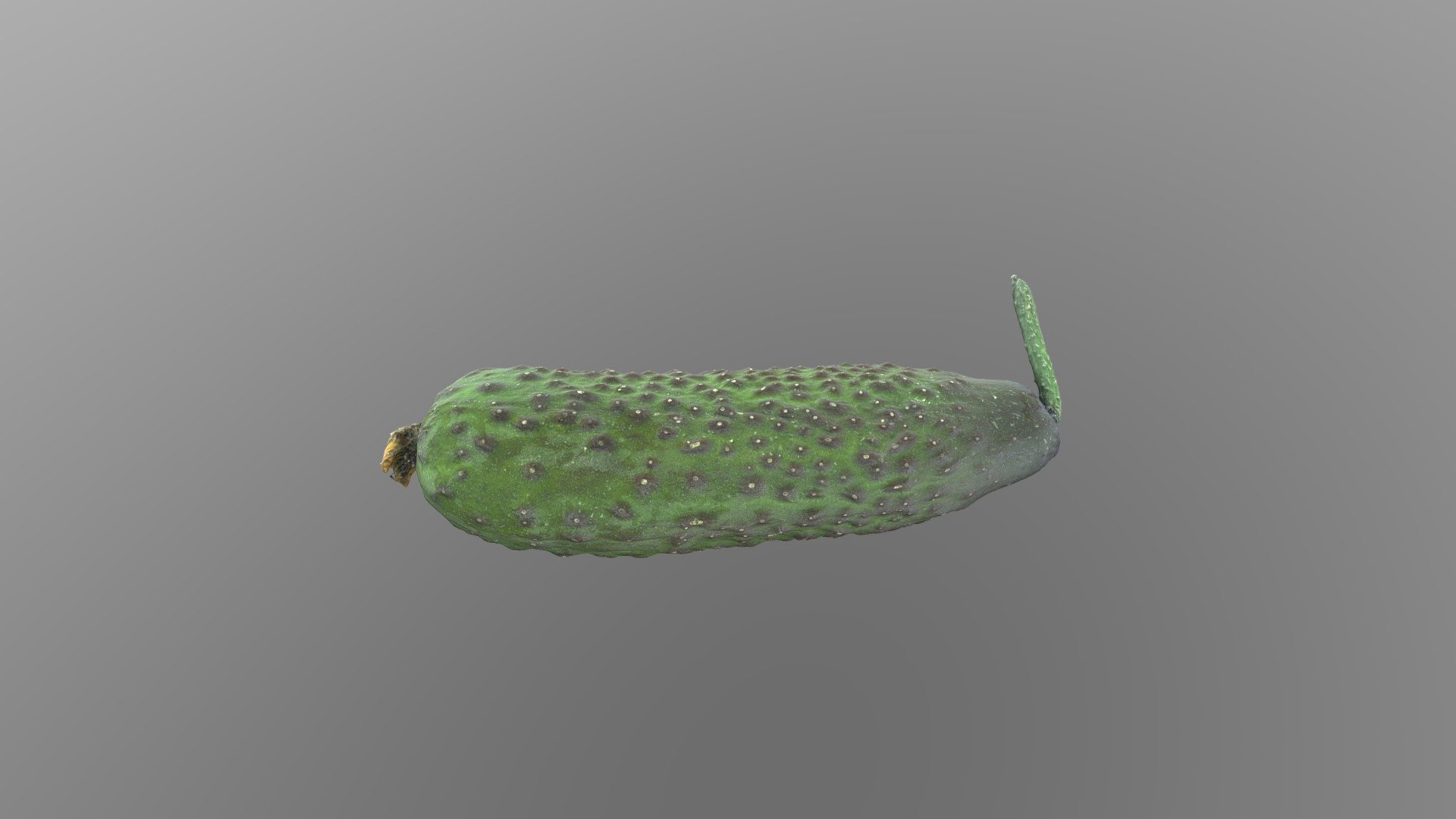 Cucumber - Buy Royalty Free 3D model by iVMVi [88d922f] - Sketchfab Store