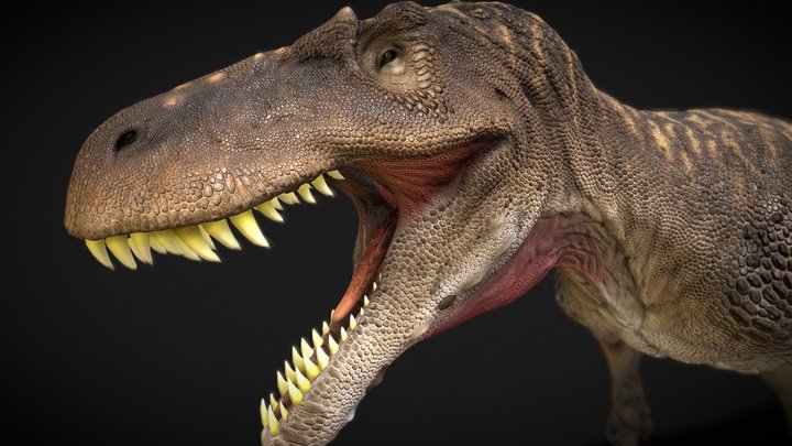 Dinosaurdiscovery 3D models - Sketchfab