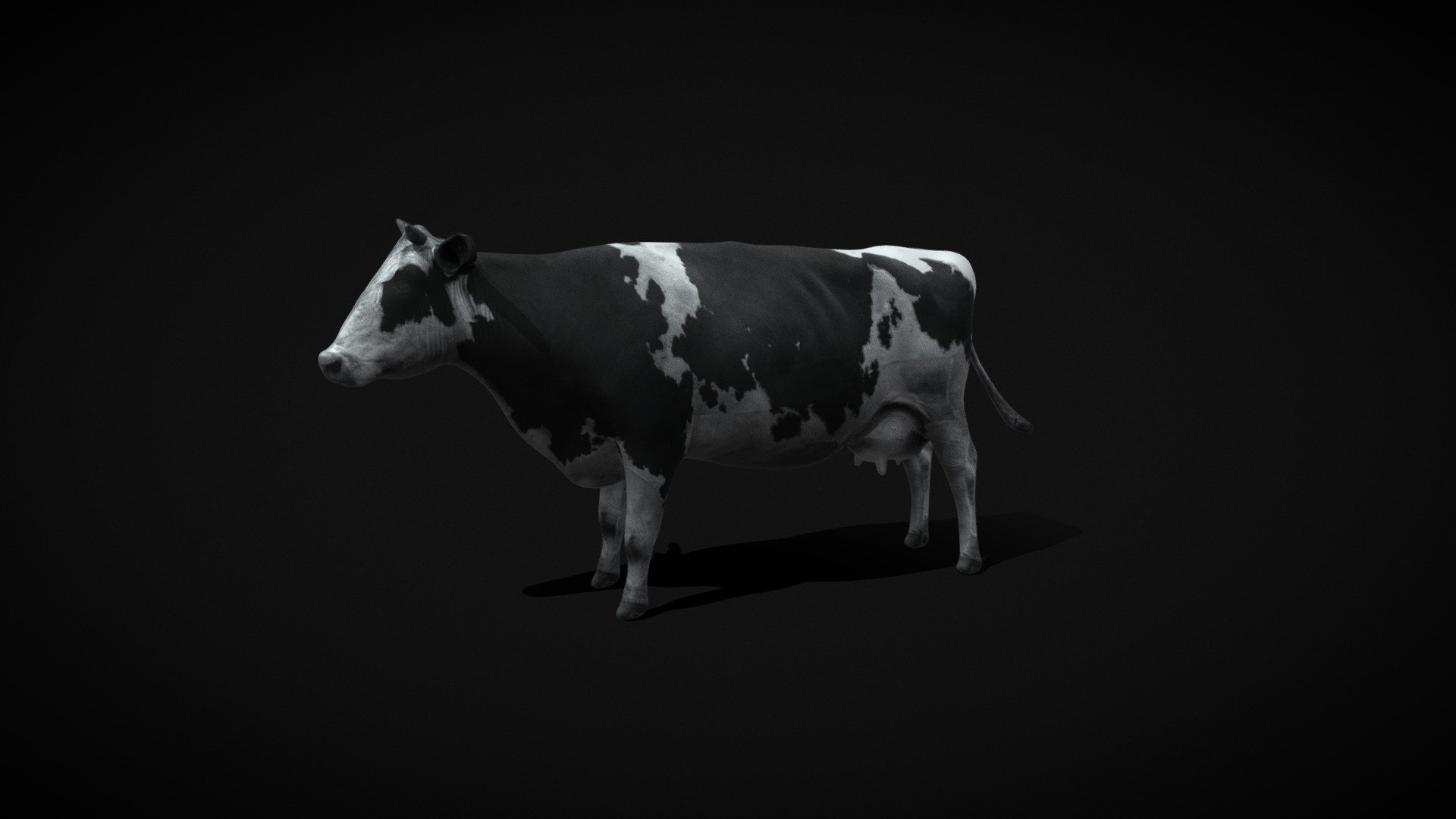 Cow - 3D model by GSCreations (@gscreations2508) [88d96e2] - Sketchfab