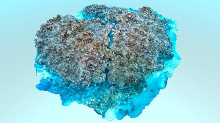 Bahamas 3D models - Sketchfab