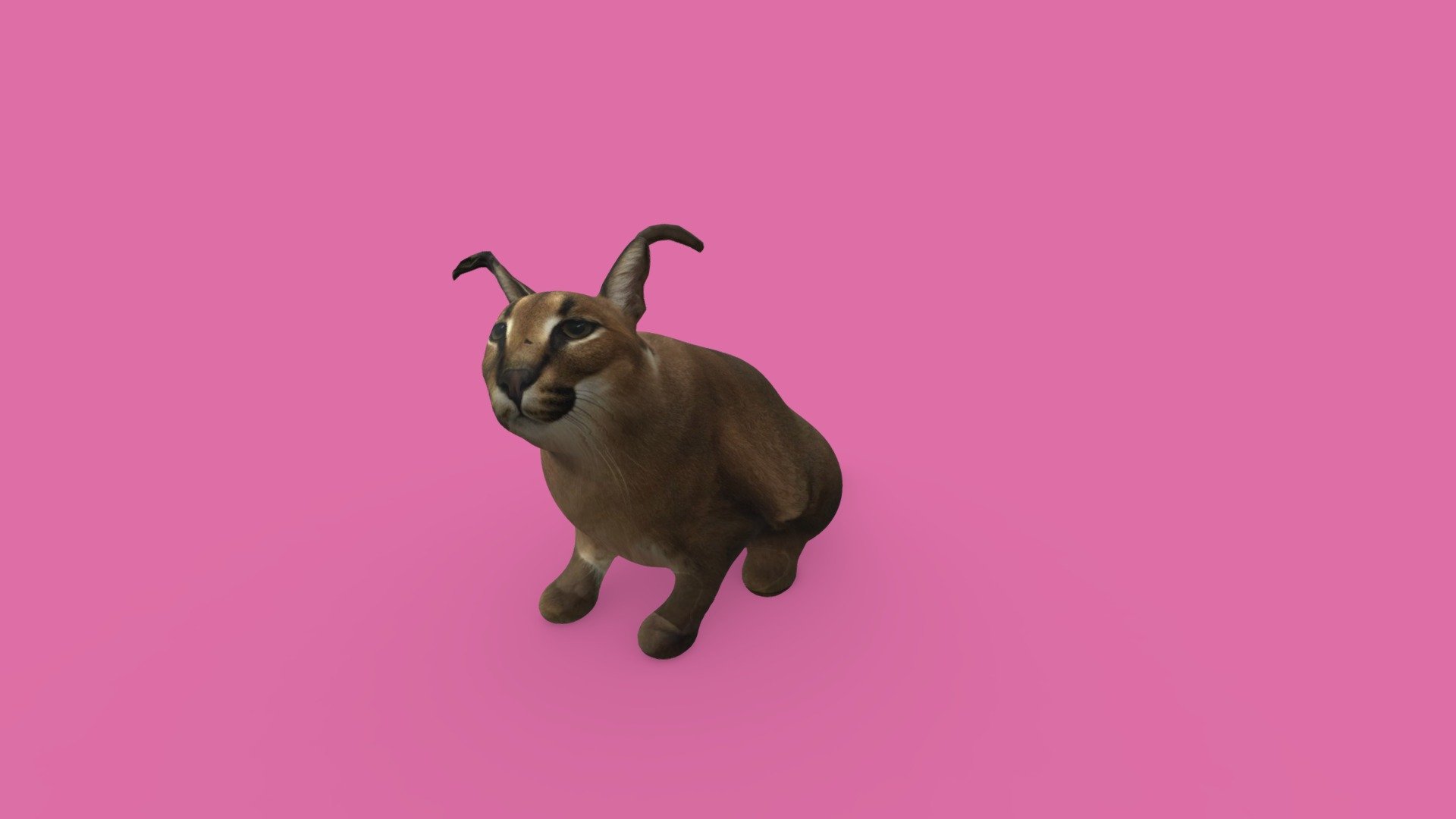 BIG FLOPPA 3D Model - Download Free 3D model by calenmaster1 ...
