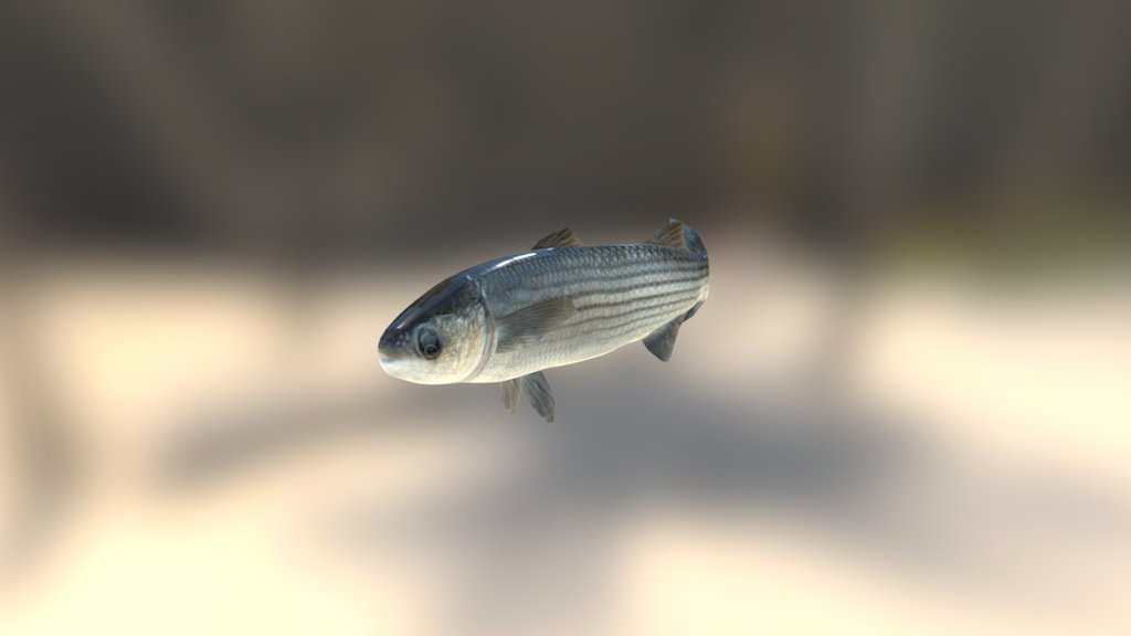 Cipal - 3D model by yooclid [88ecfa8] - Sketchfab