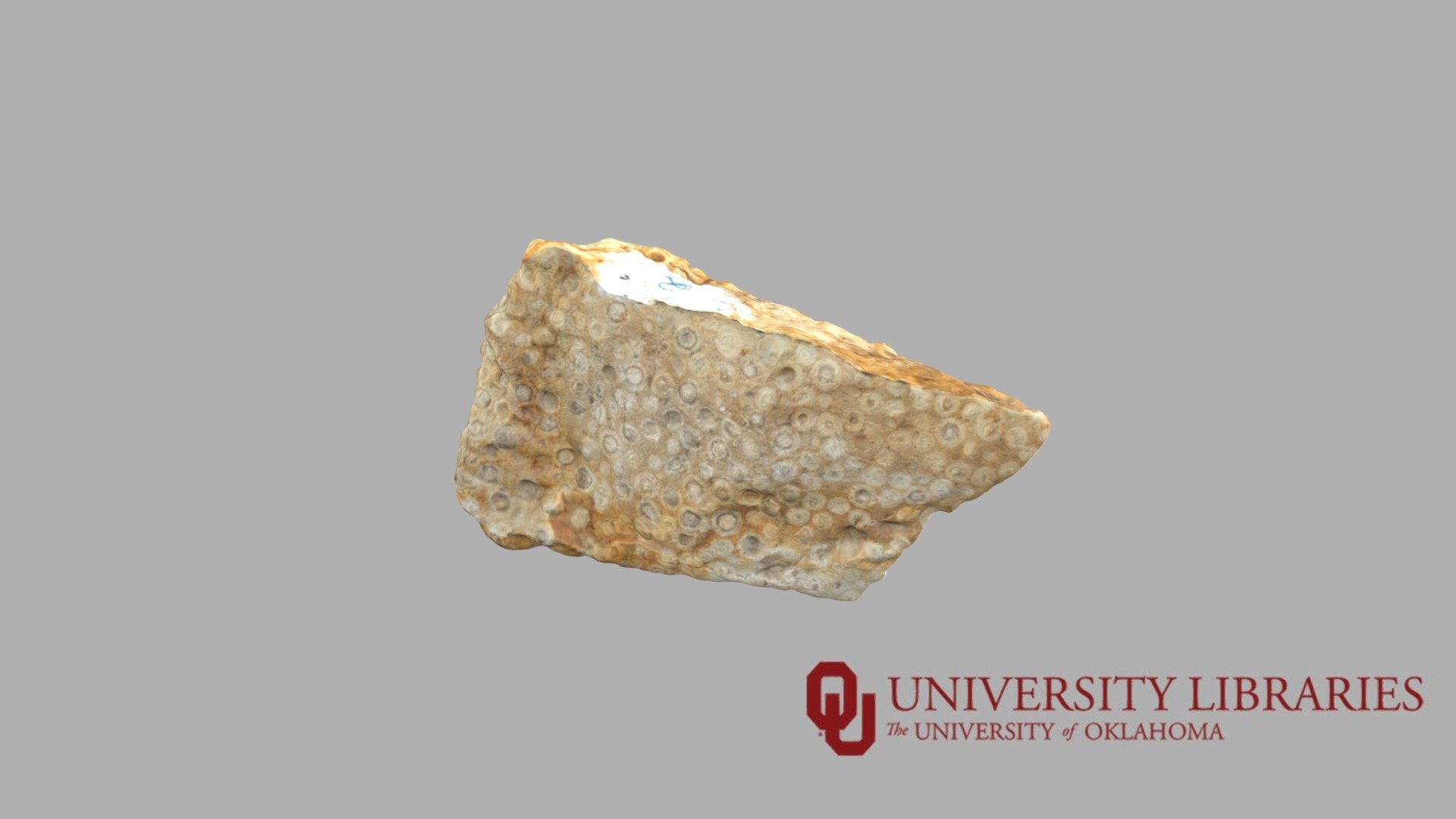 Oolitic Limestone - 3D model by OU Libraries (@libedge) [88ee196 ...