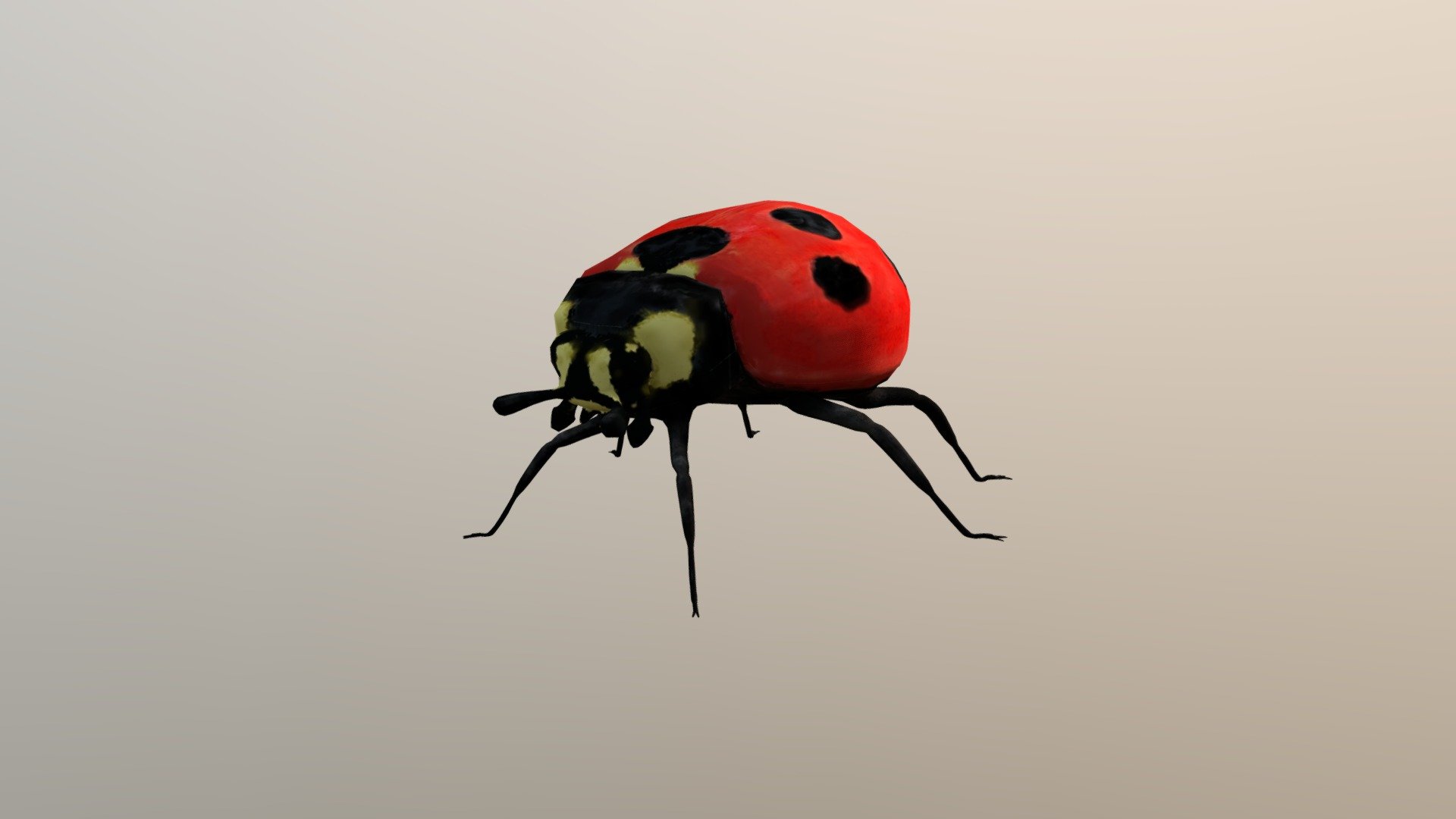 Ladybug - Buy Royalty Free 3D model by 3dlowpoly [88f1dfc] - Sketchfab ...