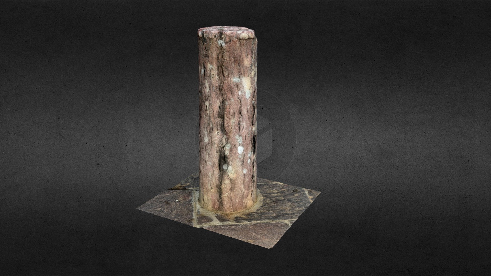 CIPO - 3D model by JRIOSJ [88f26a5] - Sketchfab