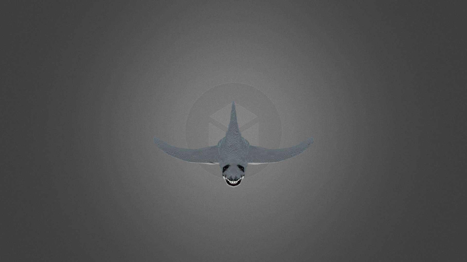 Aircraft Shark - Download Free 3D model by TREVORHENDERSON2025 ...
