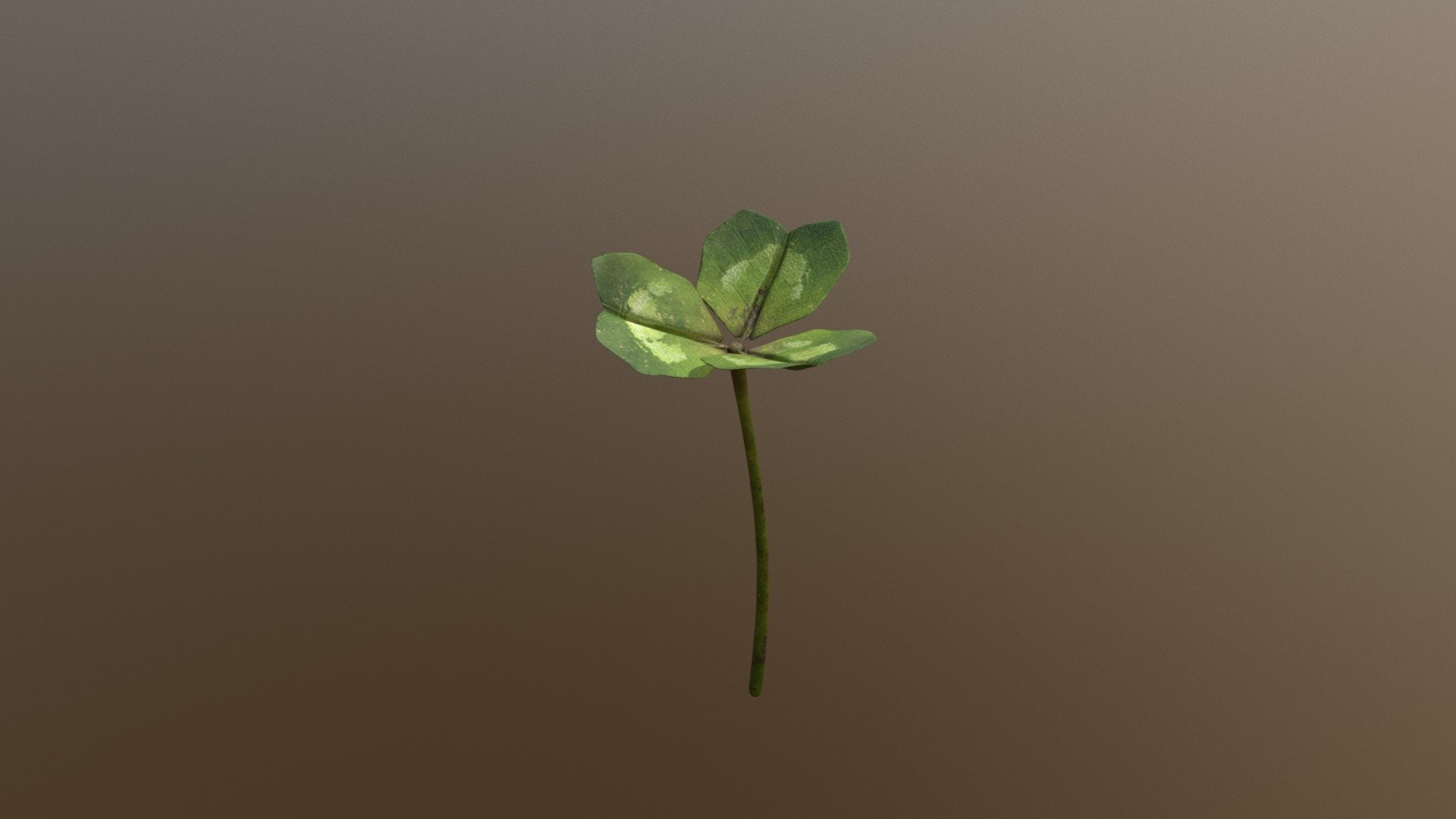 Clover - Buy Royalty Free 3D model by Anežka Hájková (@anezka) [88f600b ...
