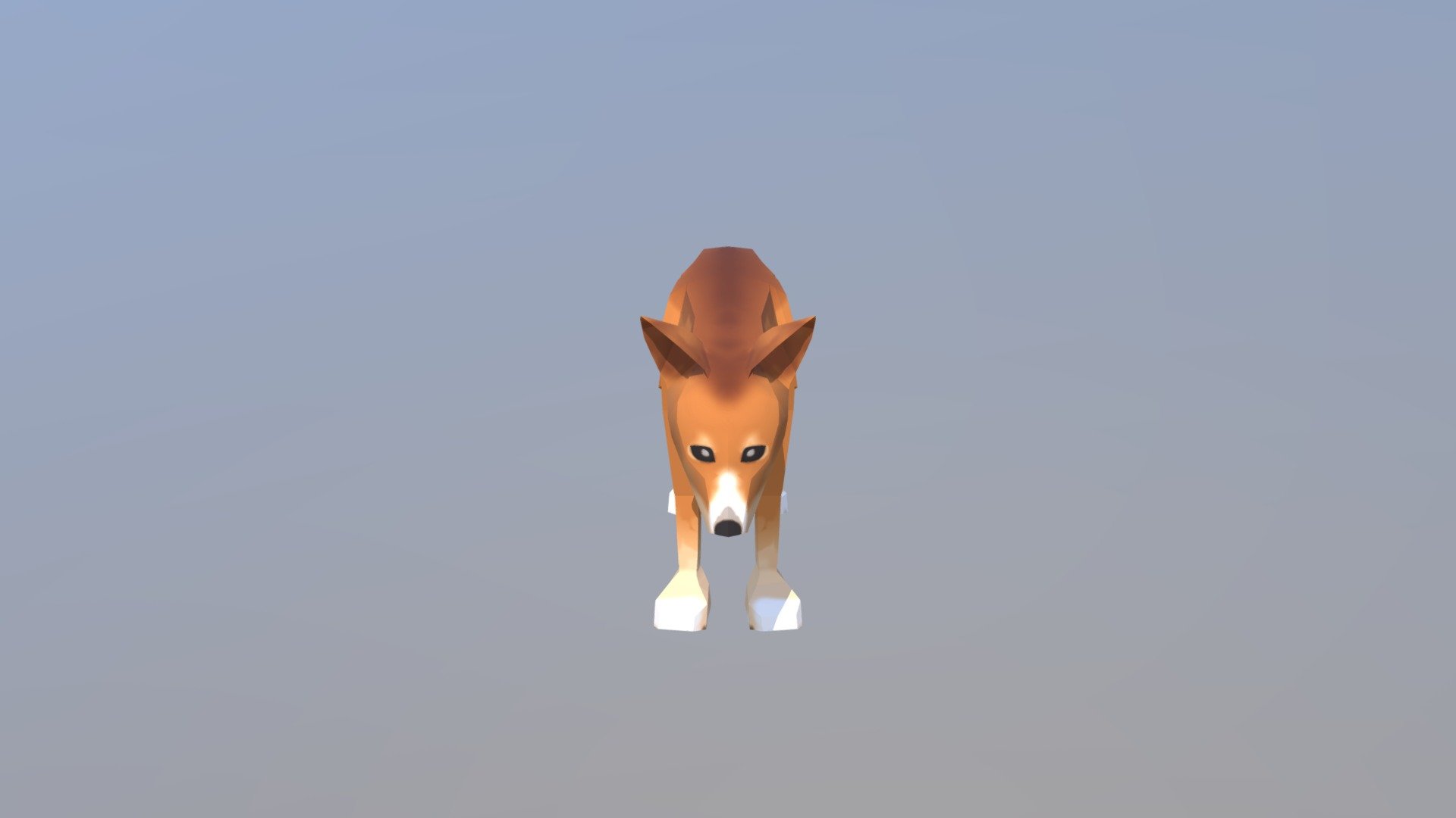 Dingo Low Poly - 3D model by n8983810 [88f8739] - Sketchfab