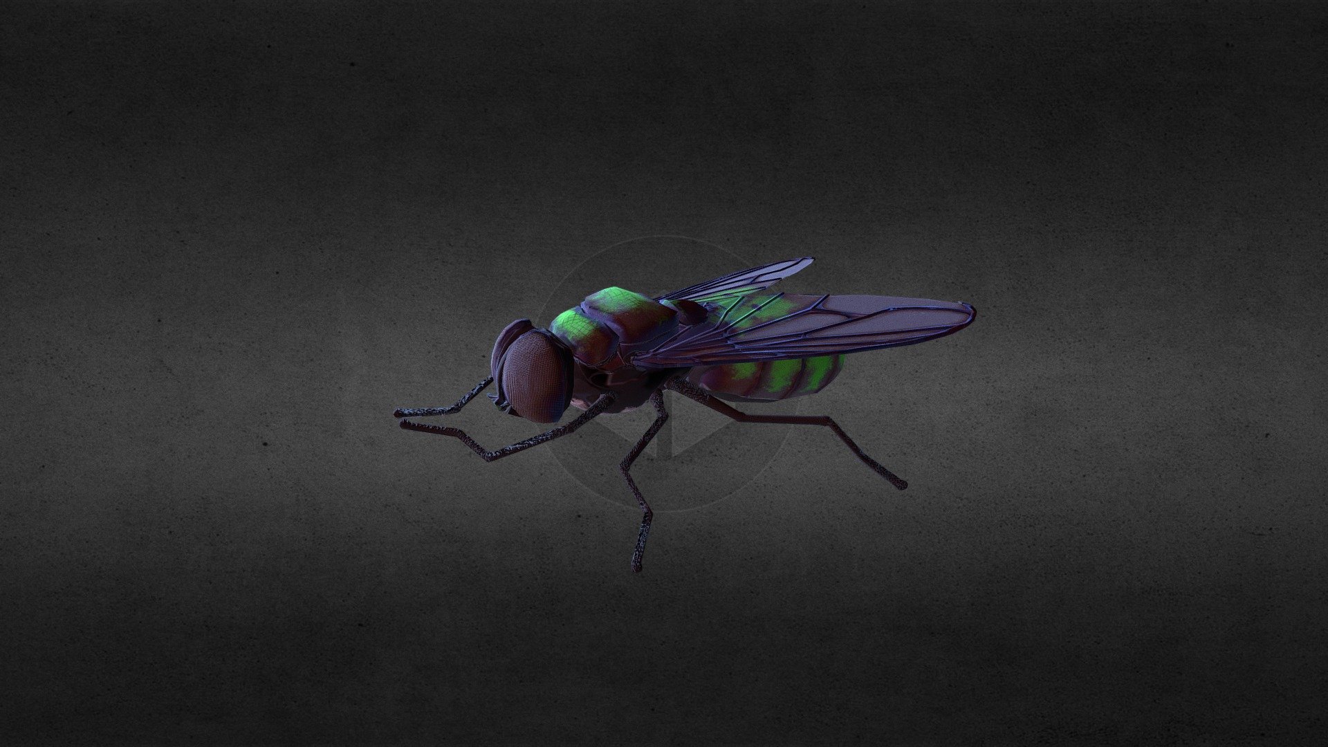 Fly. Low Poly - 3D model by CMS Games LLC (@cmsgames) [88f9764] - Sketchfab