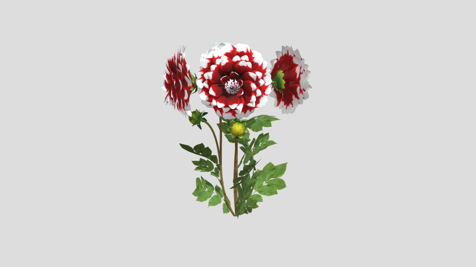 DUET - Buy Royalty Free 3D model by 3DImaginationHub [88fce18 ...