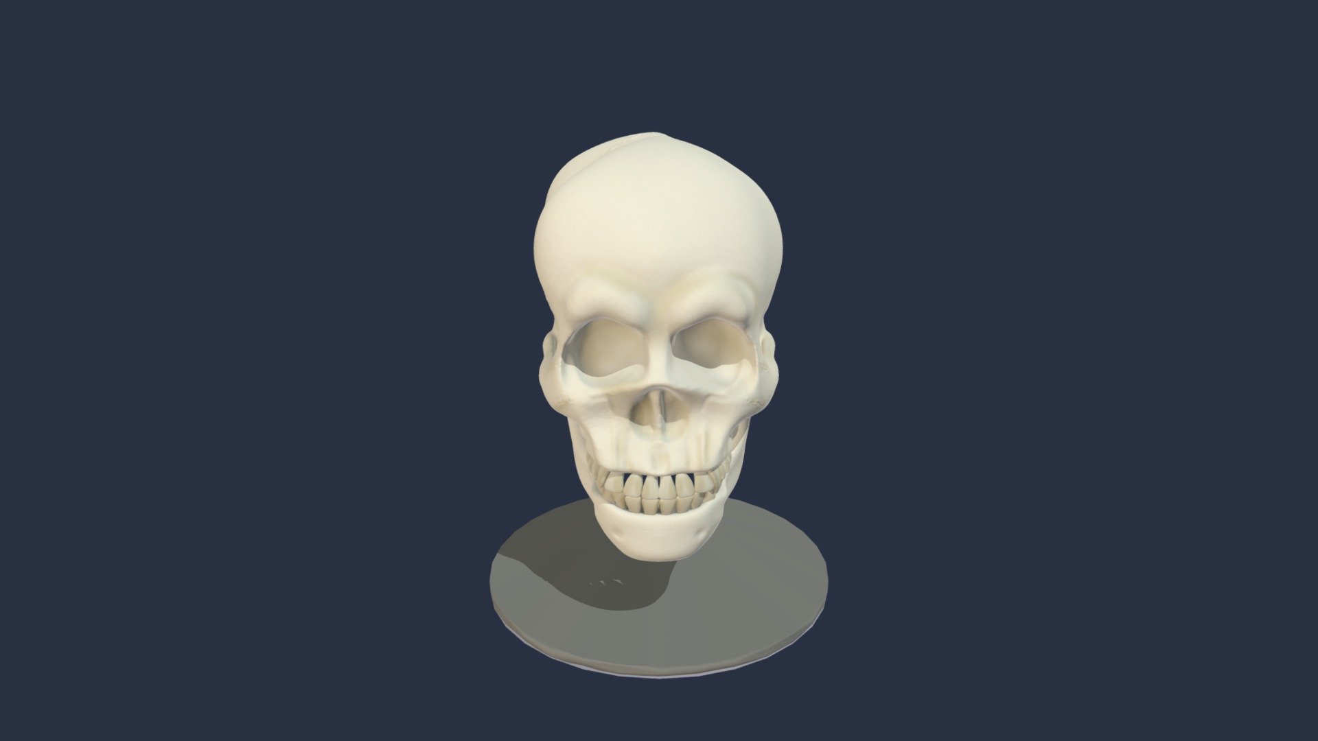 Human scull - 3D model by KostyaMaster [8906903] - Sketchfab