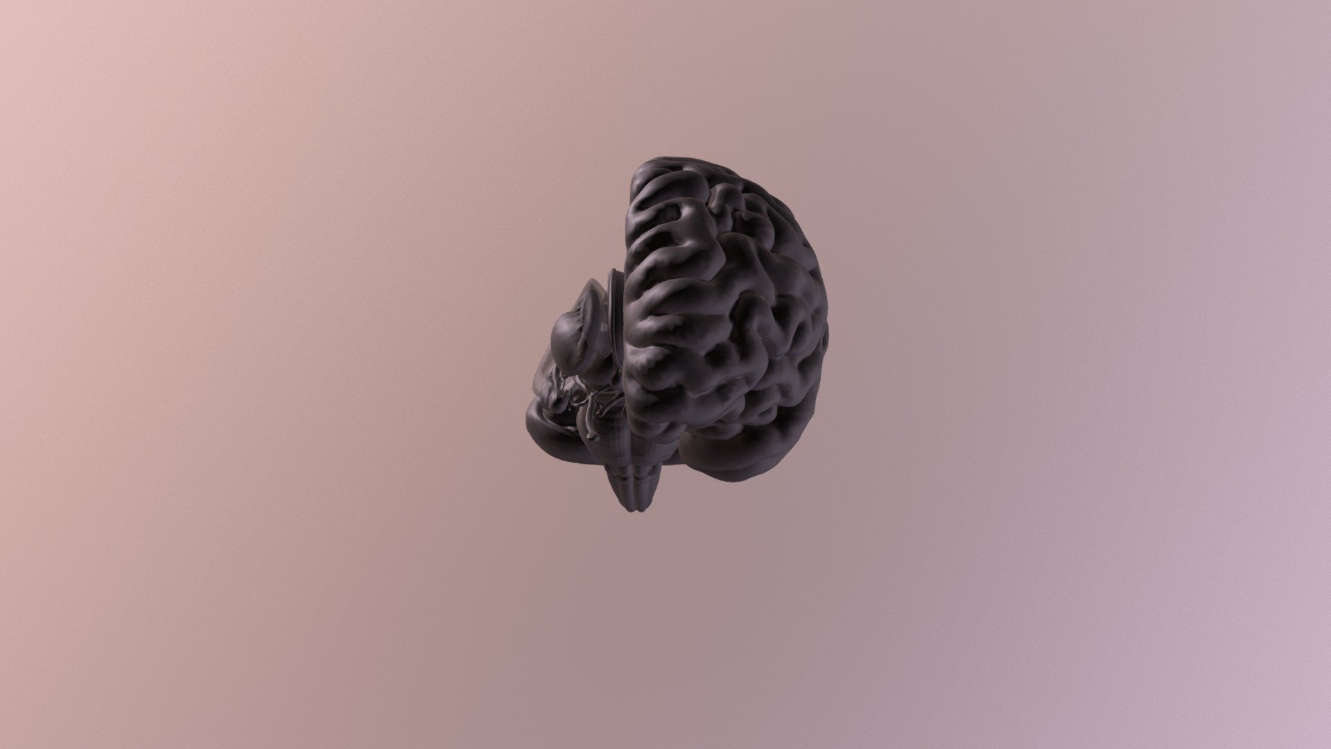 Side Brain - 3D model by lorah [890ddac] - Sketchfab
