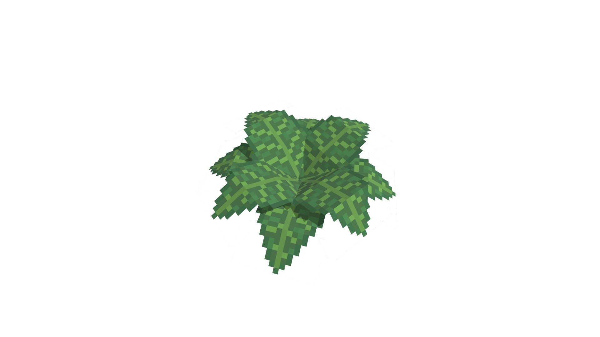 Jungle Fern - 3D model by Wumbatt [89133a5] - Sketchfab
