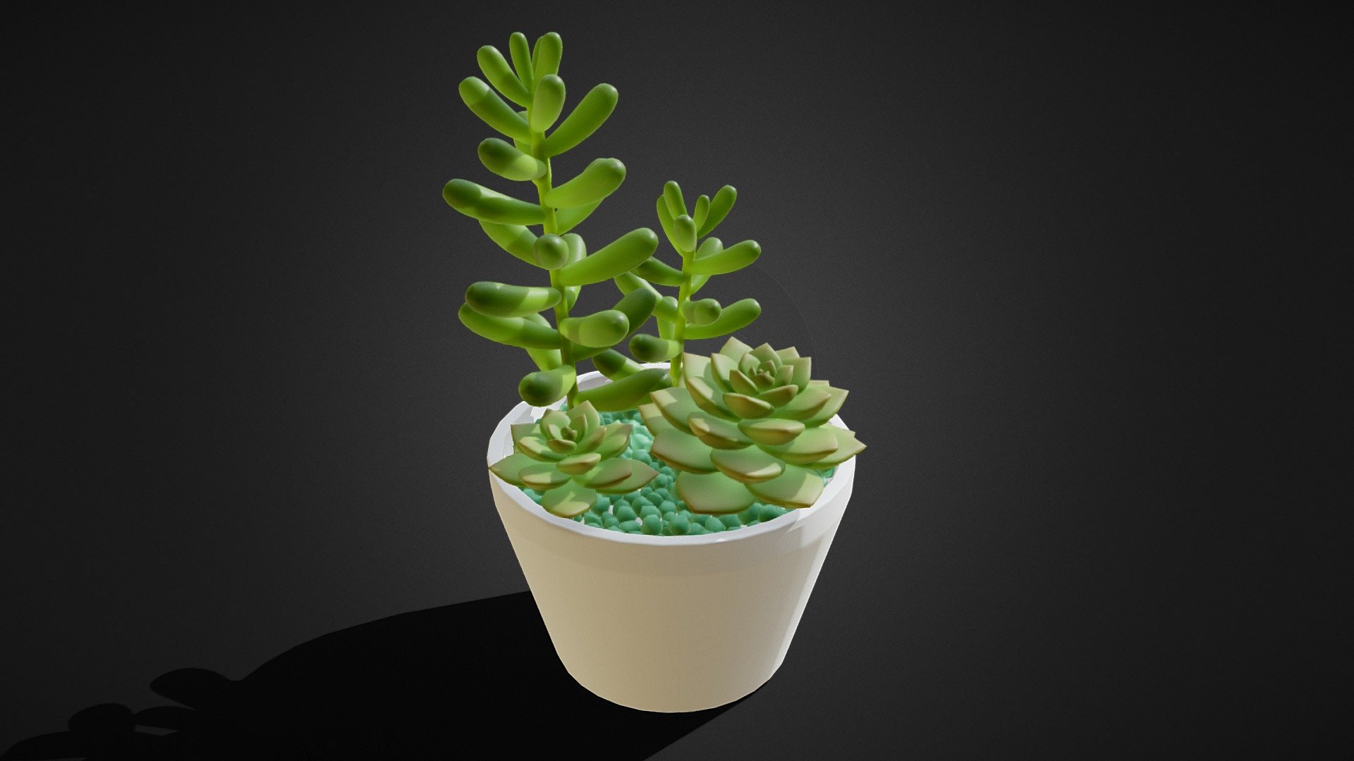 Succulents on a pot - Buy Royalty Free 3D model by felipehez [89170a1 ...