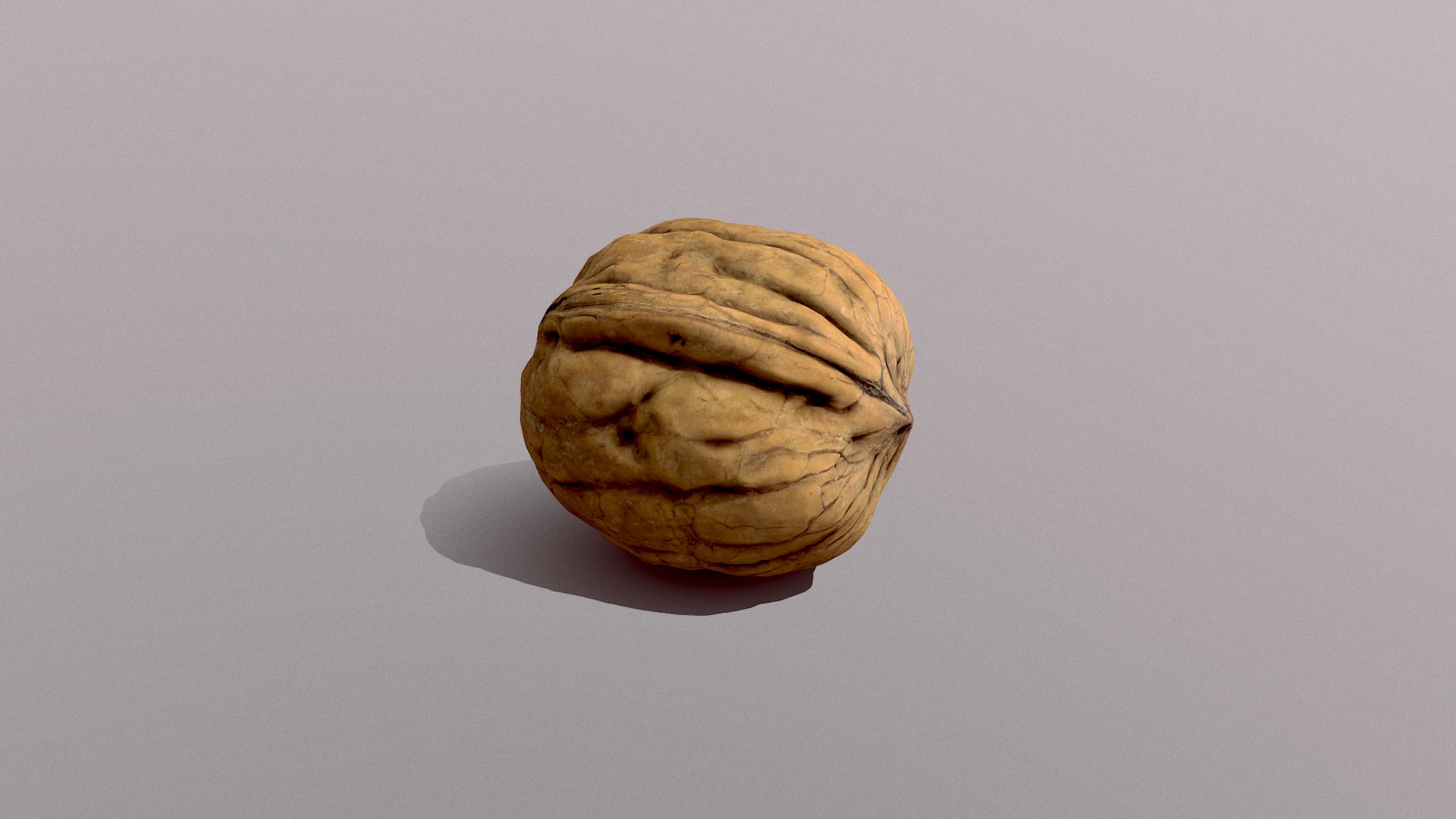 Walnut - Download Free 3D model by Siavash Razavi (@sia7ash) [8928df7 ...