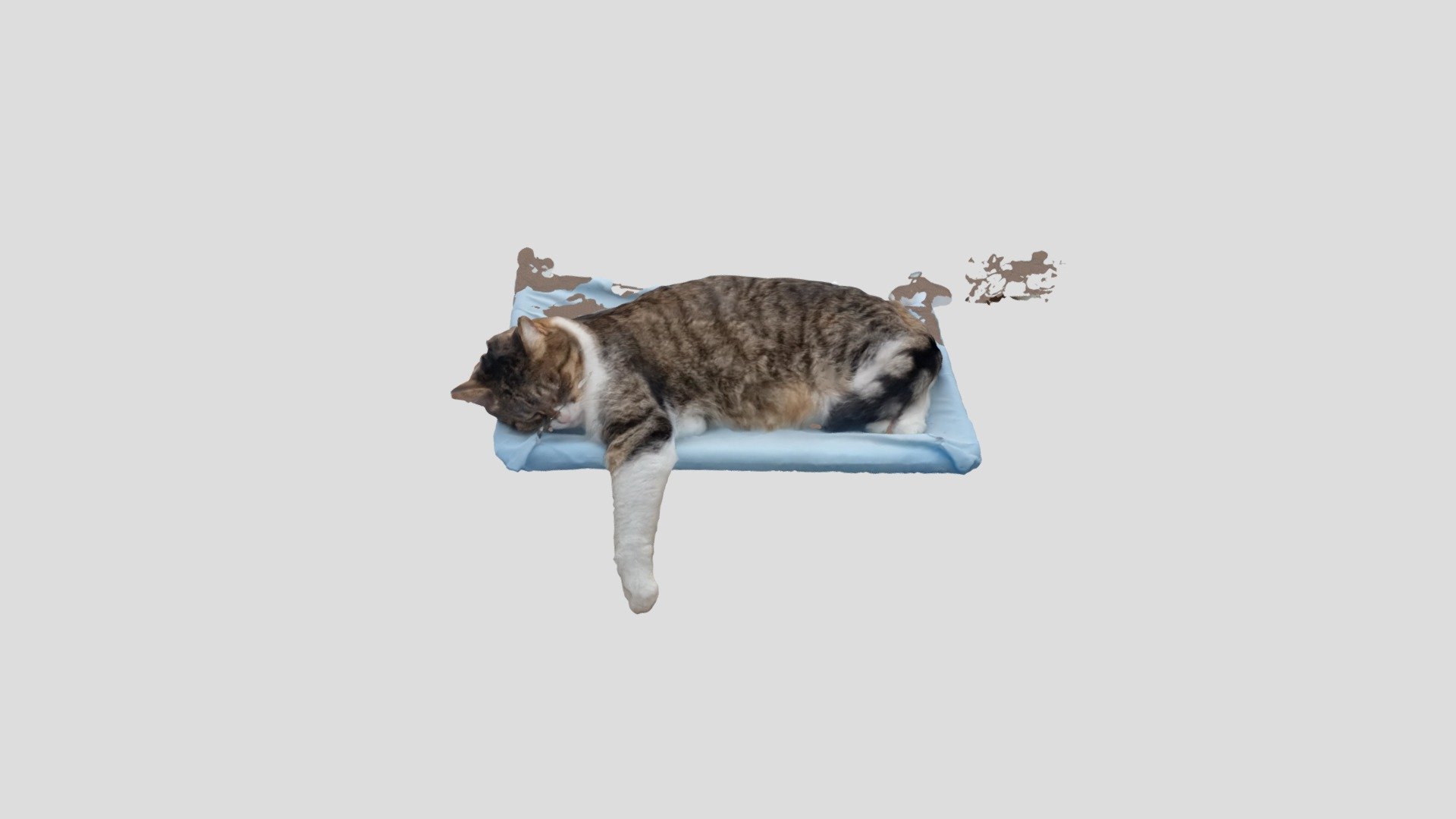 Cat_sleep_textured_mesh_glb - 3D model by dmk (@.-_) [89347e6] - Sketchfab