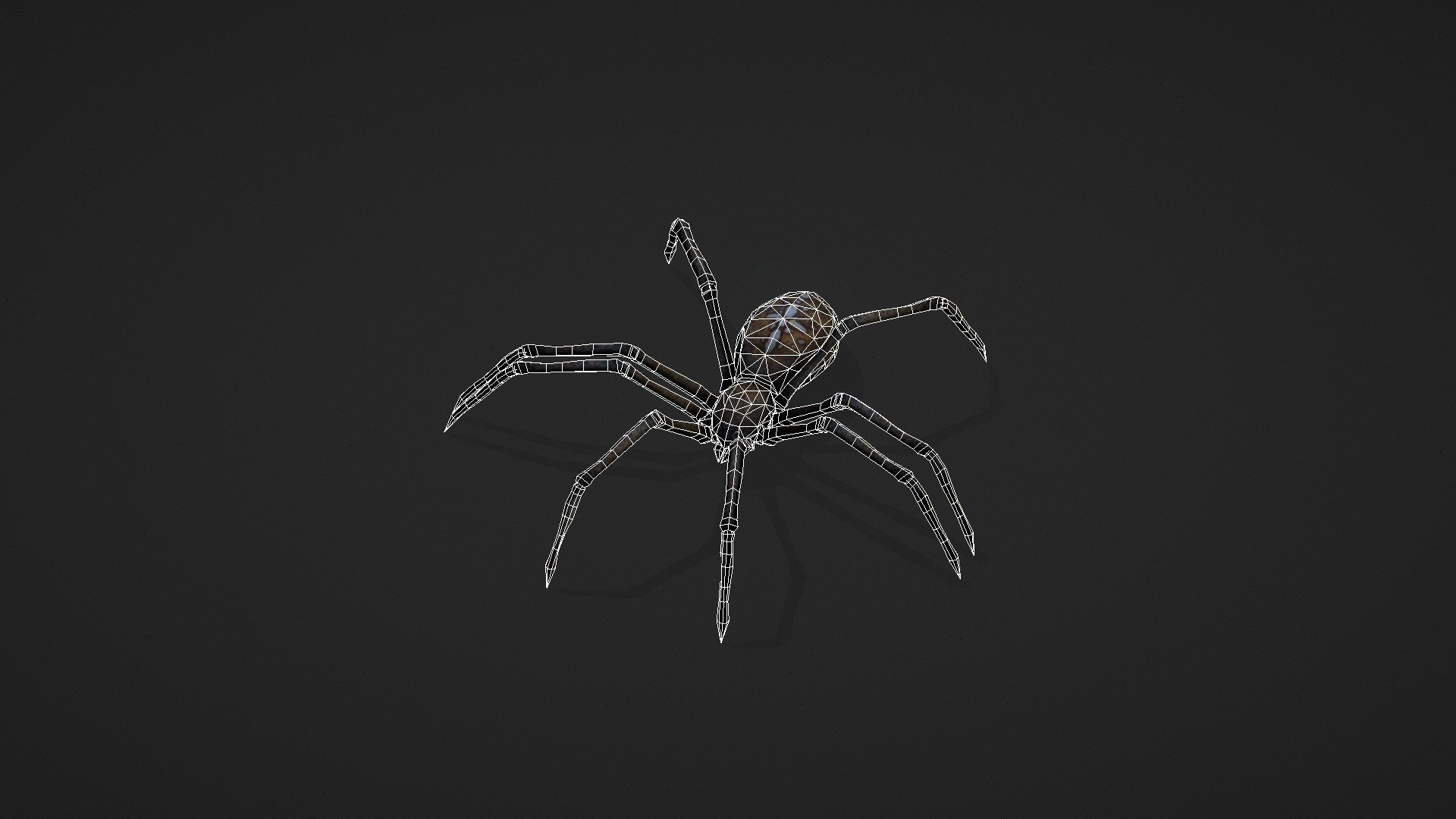 Spider Asset - 3D model by StefanVink [893eef4] - Sketchfab
