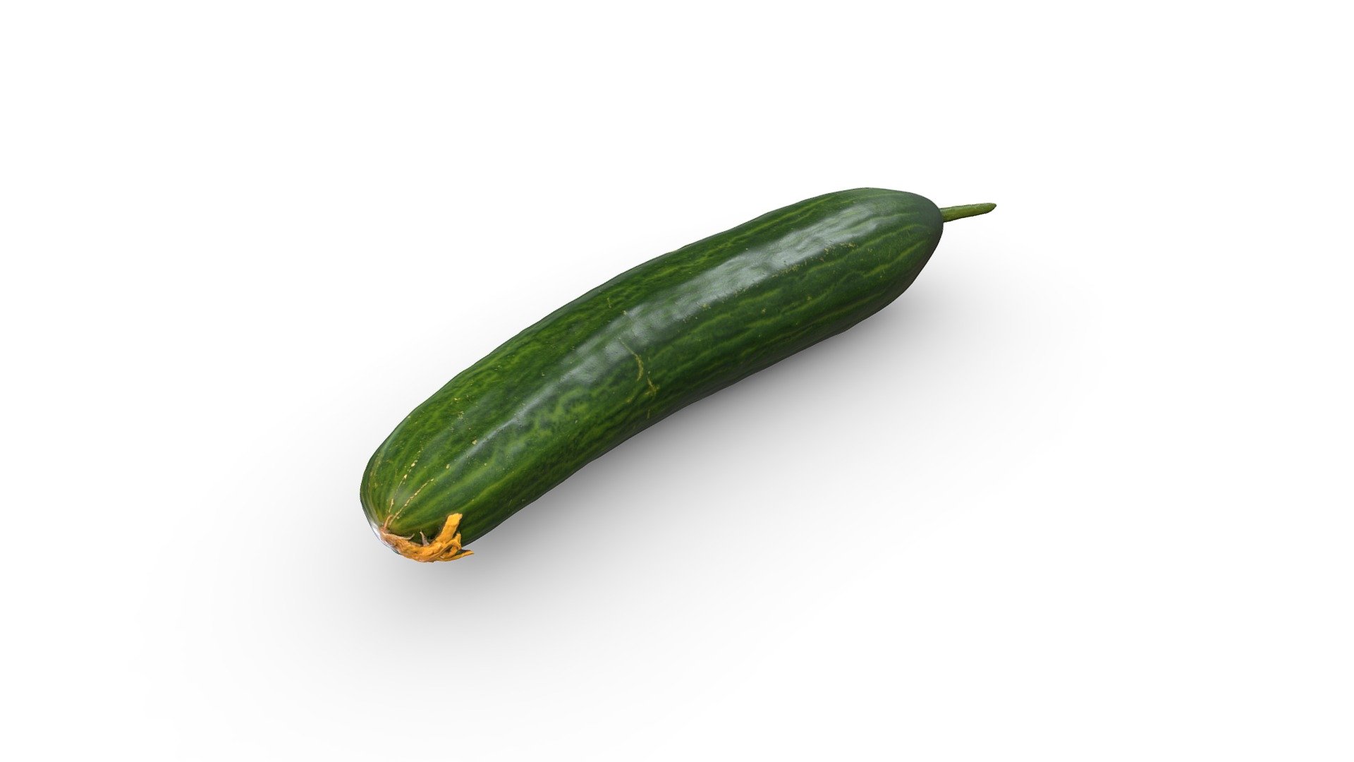 Smooth Cucumber - 3D model by RawCatalog.com (@rawcatalog) [8942cd3 ...