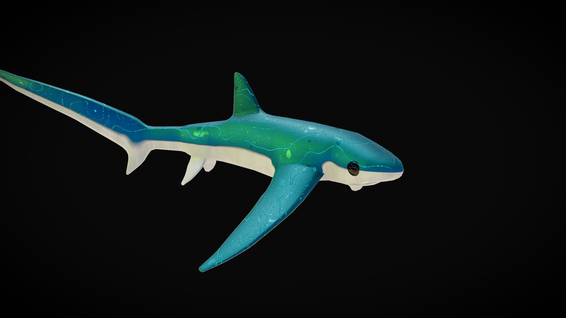 Stylized Shark - 3D model by Matheus Souza (@matheussouza) [89453cc ...