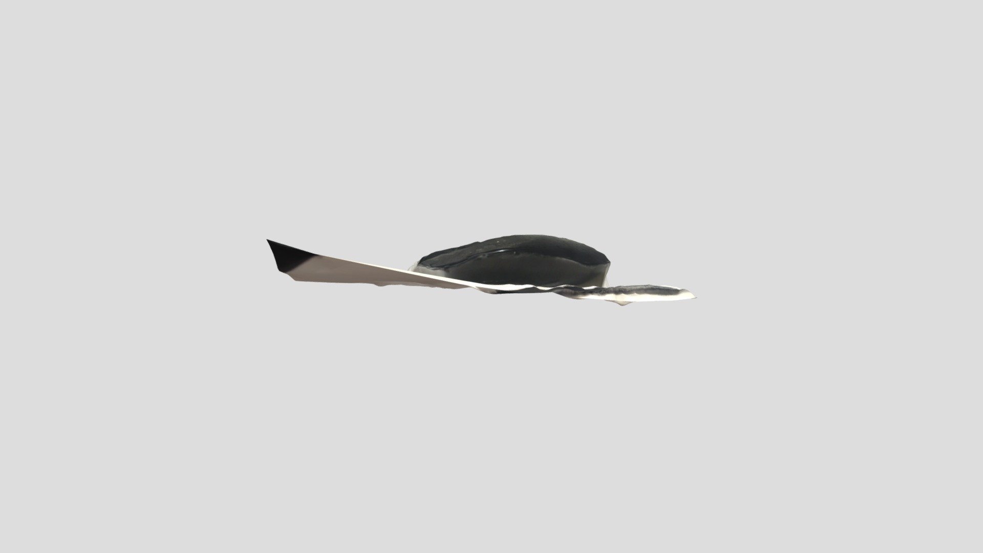 Test - 3D model by cagkebabi [894925f] - Sketchfab
