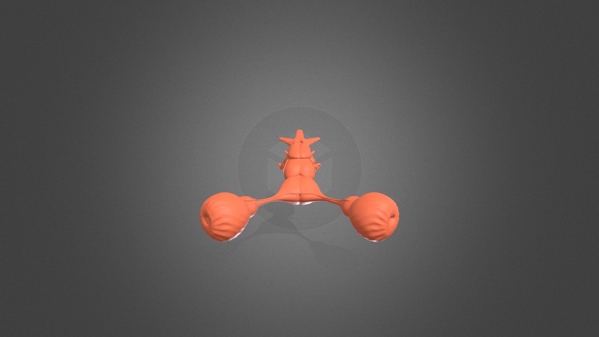 Dogfish Shark Brain - 3D model by abelally7 [8956aca] - Sketchfab