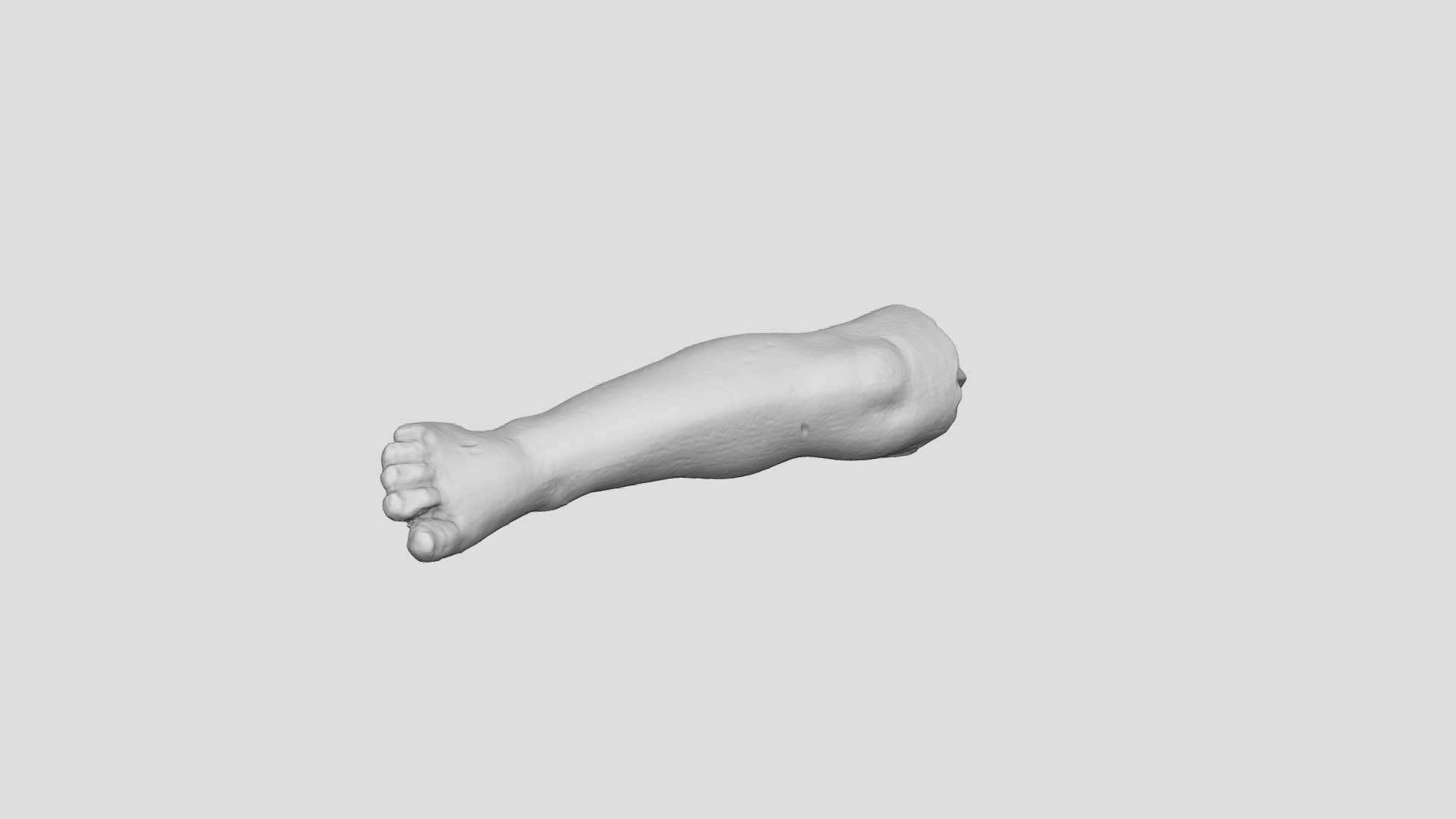 Gipsmodell Bein Ca 7cm - Download Free 3D model by gussbronze [895a7a1 ...