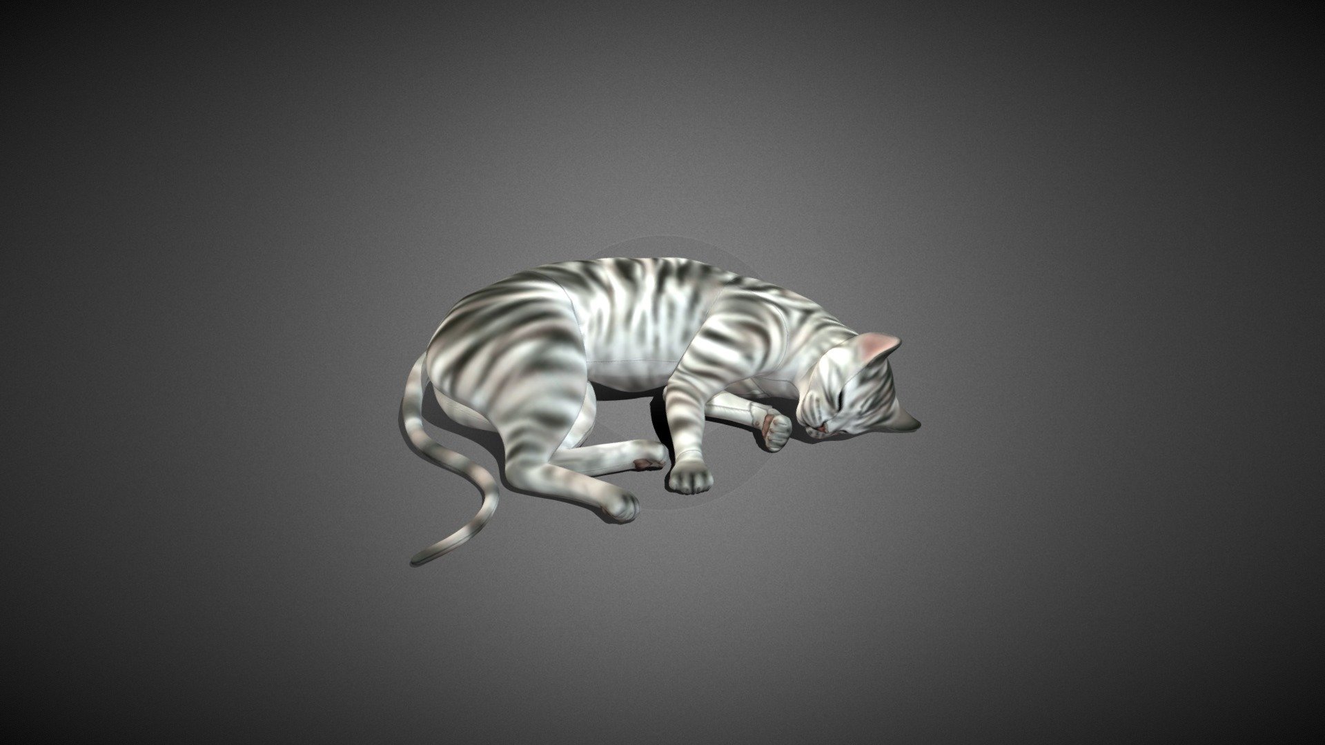Cat - 3D model by Stephengury [895ad67] - Sketchfab