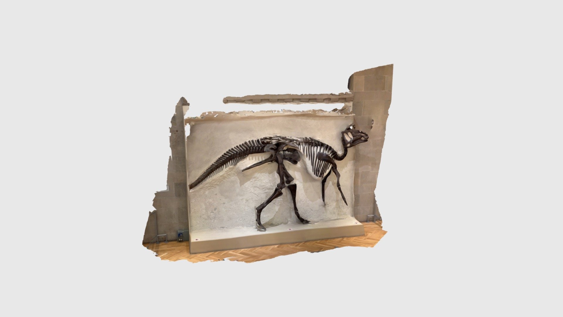 ROM: Hadrosaur Skeleton (70m yrs) - Download Free 3D model by YSDC ...