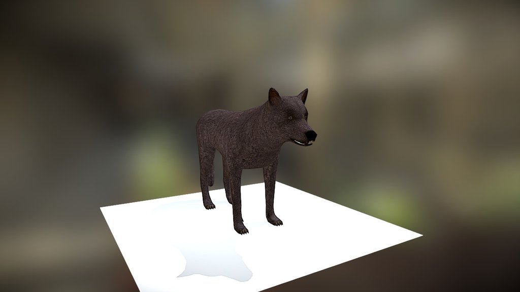 Lobo - 3D model by Daniel_Parra (@parraulloa_dk) [8967d1a] - Sketchfab