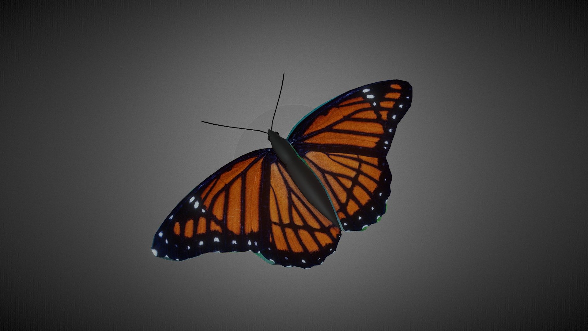 Butterfly - Download Free 3D model by Akshat (@shooter24994) [896bcaf ...