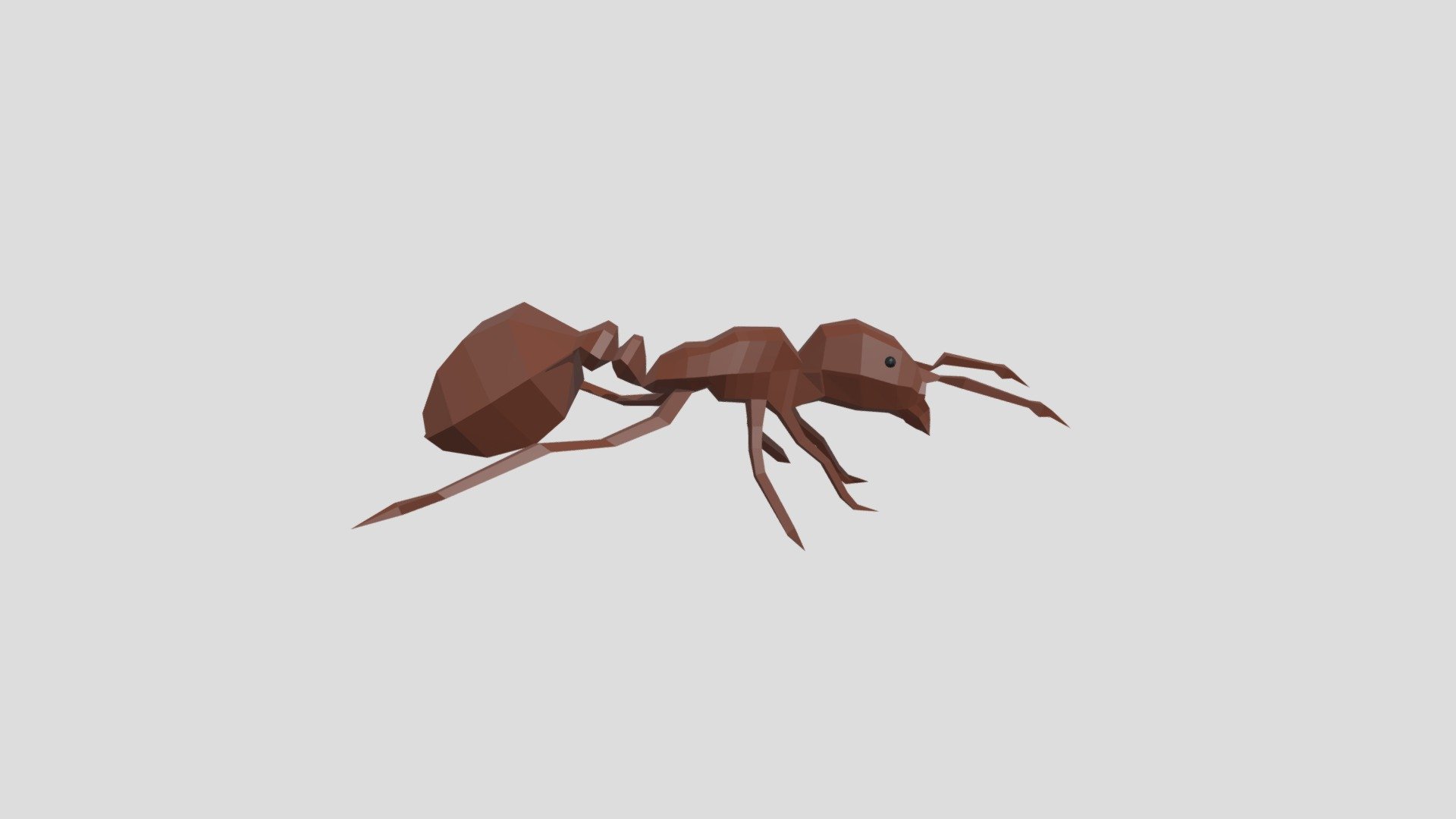 Ant low poly - 3D model by saucilee [896c3c4] - Sketchfab