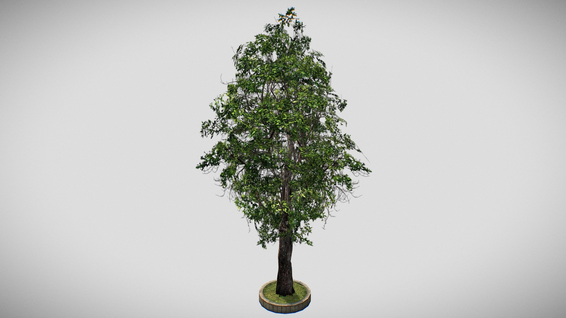 Old Tree - Buy Royalty Free 3D model by Anthony Ferrandiz ...