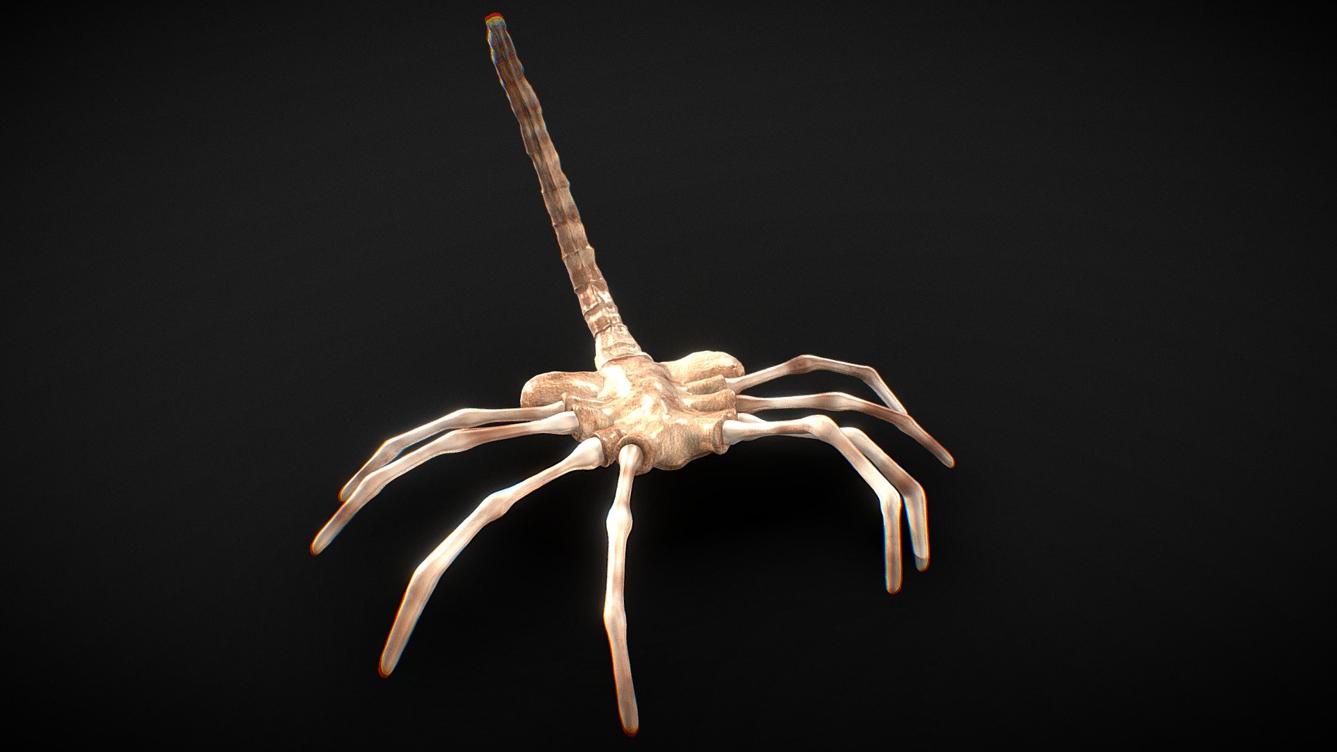 alien, the 8th passenger - 3D model by Pibolleau graphic design ...