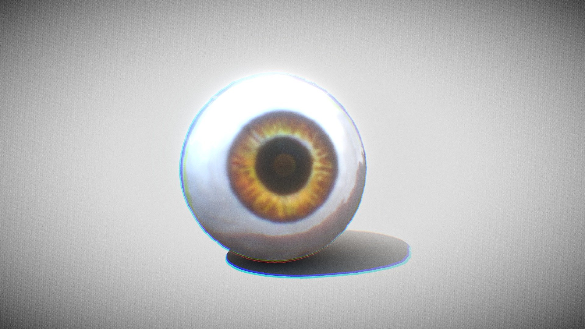 Anatomía del ojo - Download Free 3D model by anasofiaramirez029 ...
