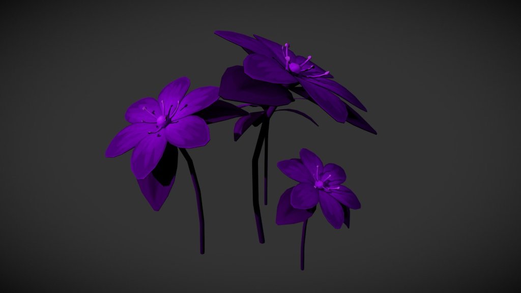Hepatica Flower - 3D model by Katherine Ryschkewitsch (@katryart ...