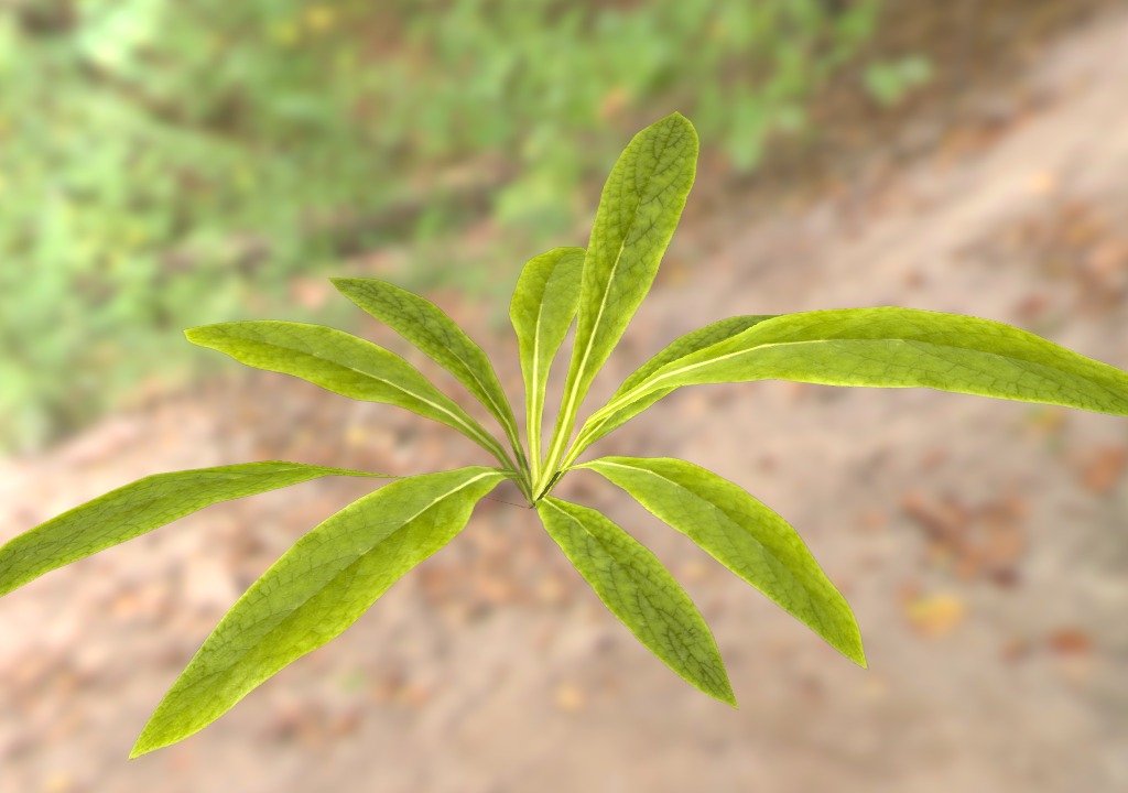 simple plant - Download Free 3D model by aaron_nerlich (@xXAaronNXx ...