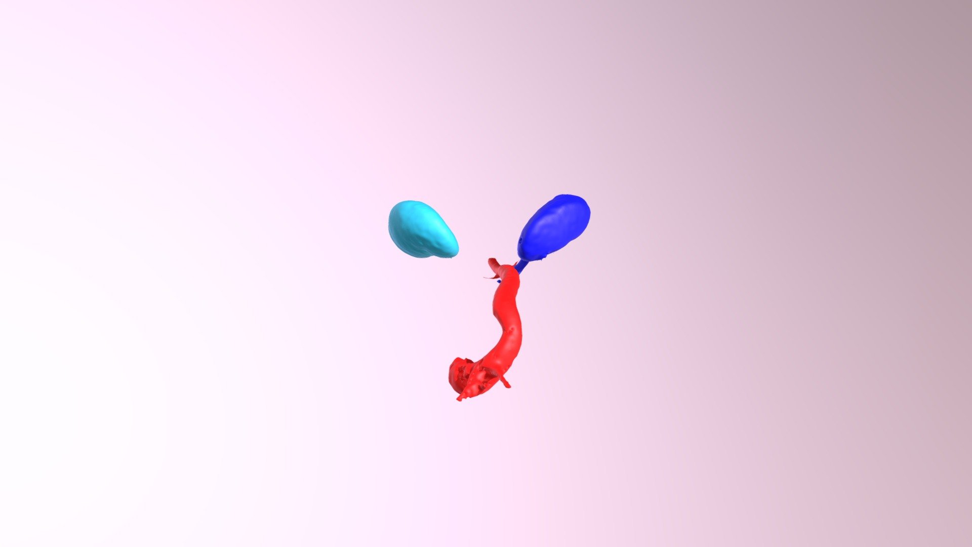 Segmentation - 3D model by ryansuckow [89844a7] - Sketchfab